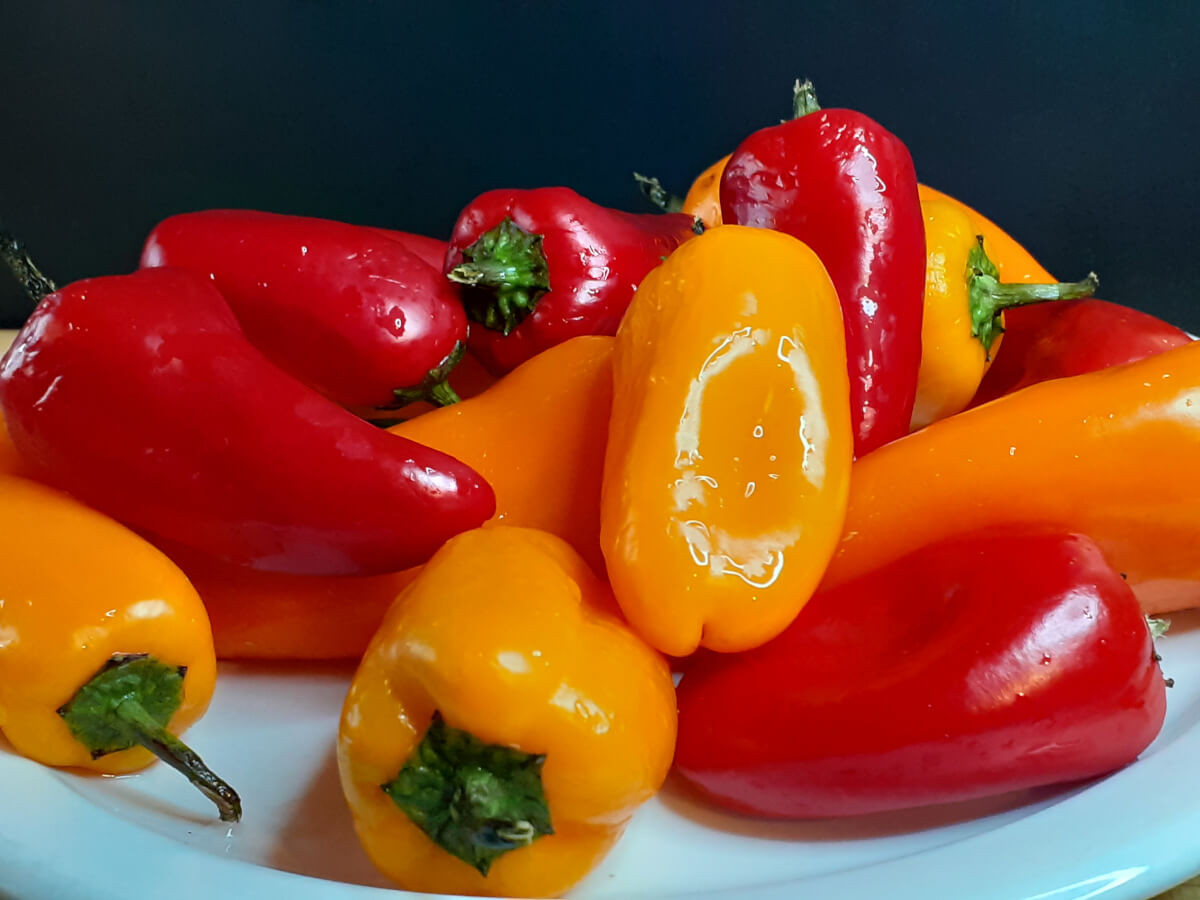 Homestyle Chili - JAHZKITCHEN