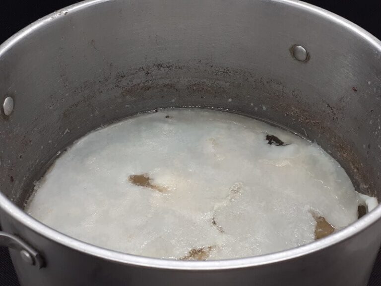 Chinese Honey Garlic Ribs - JAHZKITCHEN